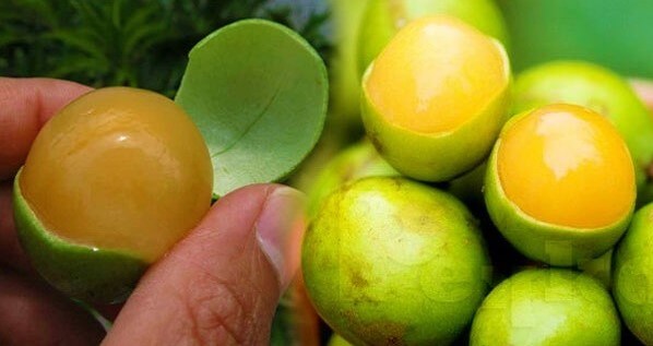Spanish Lime - Amazing Super Healthy Fruit