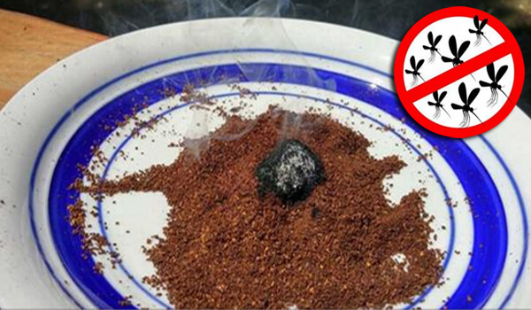 Repel Mosquitoes By Burning This Outside